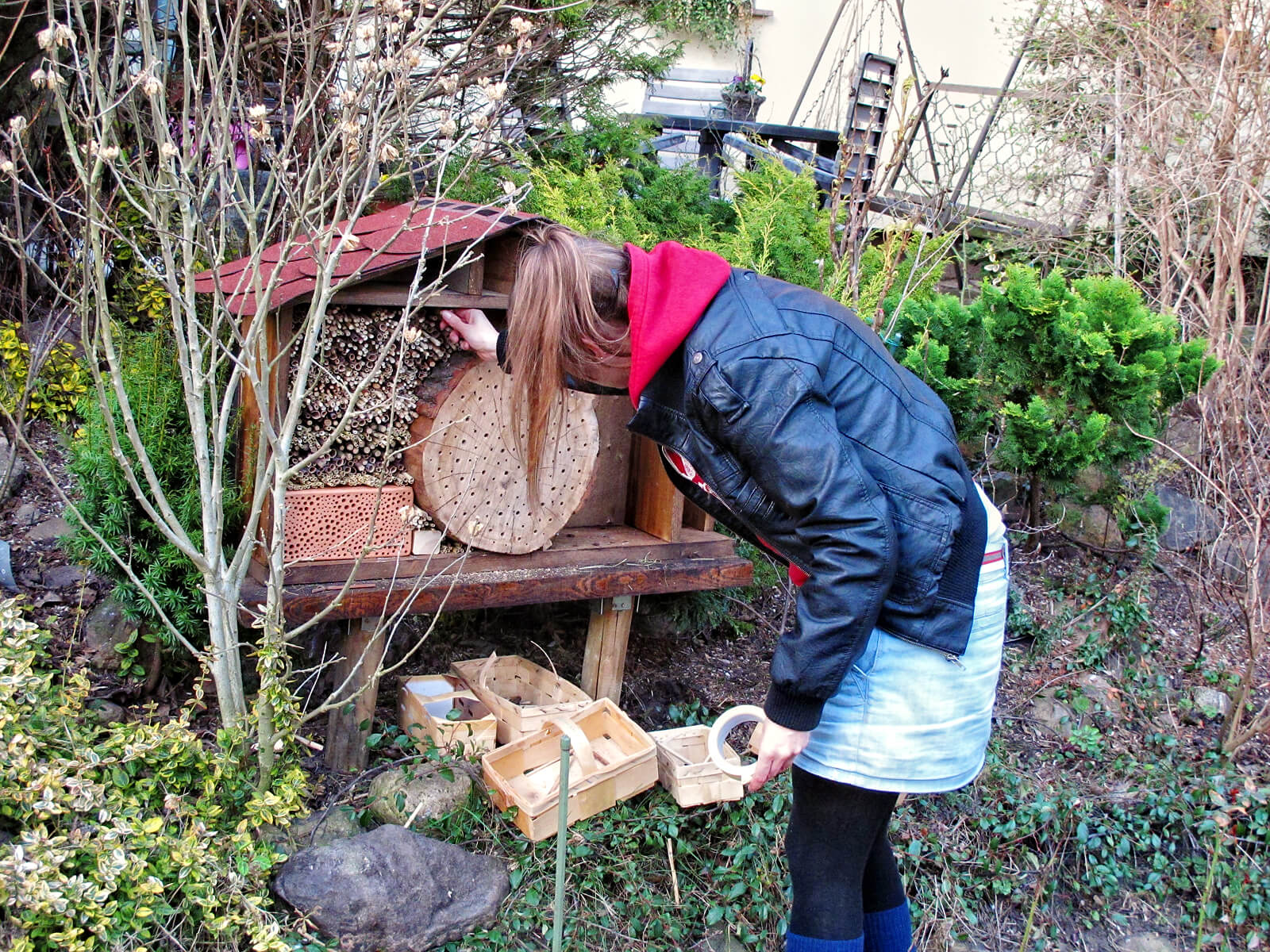 build your own insect hotel | Darwin Escapes
