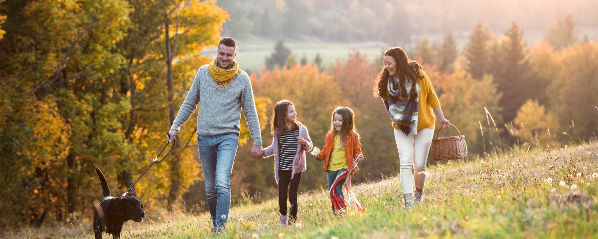 things to do in Surrey that are perfect for kids | Darwin Escapes