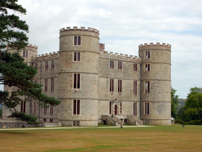 top tips when visiting Wareham Forest | Darwin Escapes