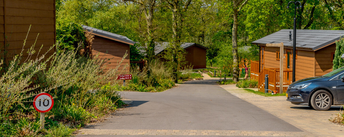 top tips when visiting Wareham Forest | Darwin Escapes