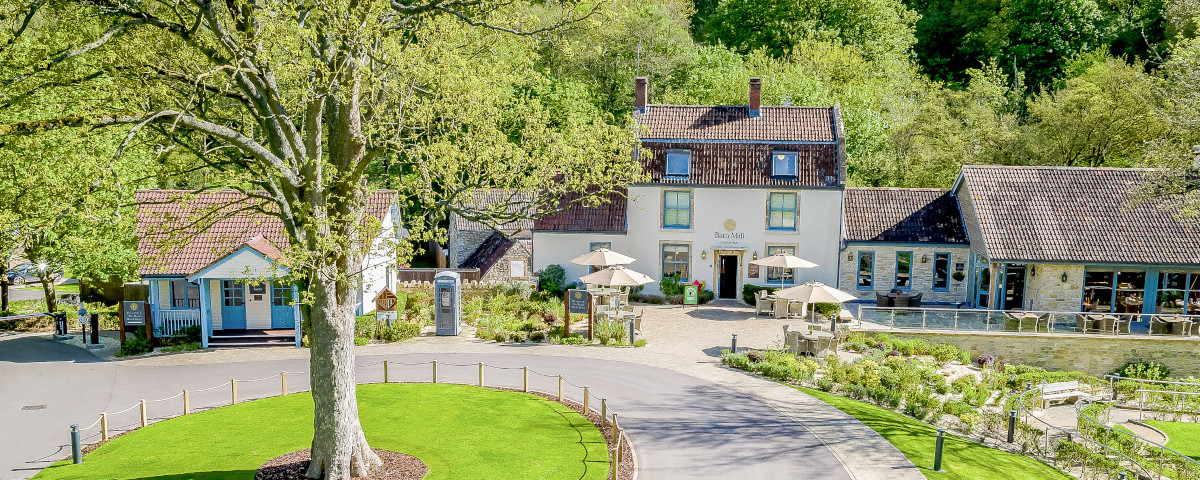 tips for visiting Bath Mill | Darwin Escapes